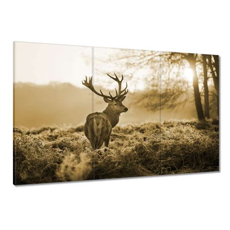 Obraz Jeleń W Lesie 120x80cm Zesmakiem Sklep Empikcom