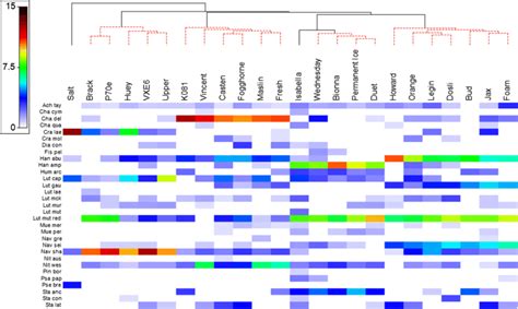 dendrogram and bray curtis similarity matrices identifying significant