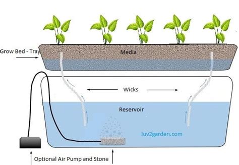 How To Build A Hydroponic Wick System Hydroponics System Hydroponics