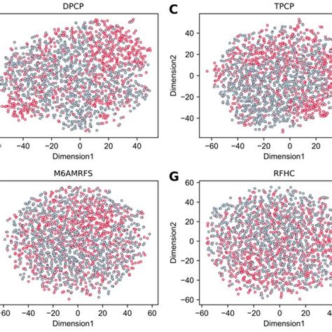T Sne Visualization Of The Benchmark Dataset In A Two Dimensional