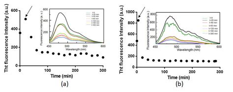 Time Course Of Tht Fluorescence Emission Intensity Of Npm1264 277 A