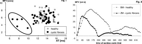 Figure 2 From Detection And Quantification Of Pulmonary Arterial