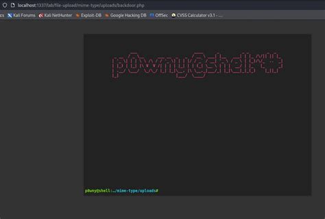 Insecure Direct Object Reference Idor Walkthrough — Vulnlab By