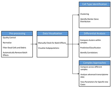 A Guide To Single Cell Rna Sequencing Analysis Using Web Based Tools