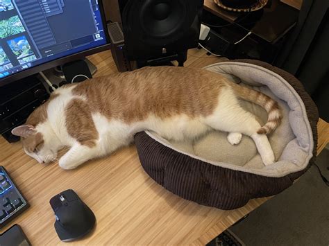 Your Desktop Audio Setup Page 21 Audio Science Review Asr Forum