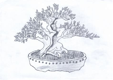 Bonsai Tree Drawing At PaintingValley Com Explore Collection Of Bonsai Tree Drawing