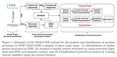 Introducing Psac Pdb A Novel Approach To Protein Structure Analysis And Classification The