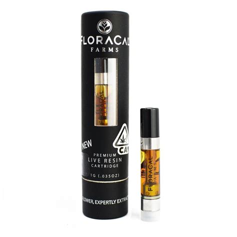 Live Resin Vs Solventless Buy The Right Cannabis Concentrate