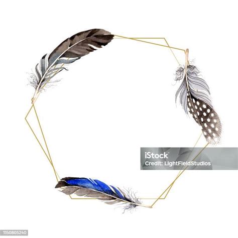 고립 된 날개에서 수채화 파란색과 검은 새 깃털 프레임 테두리 장식 광장 0명에 대한 스톡 벡터 아트 및 기타 이미지 0명 검은색 깃털 Istock