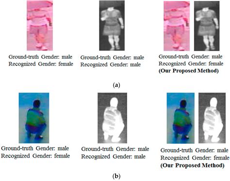 Body Based Gender Recognition Using Images From Visible And Thermal Cameras