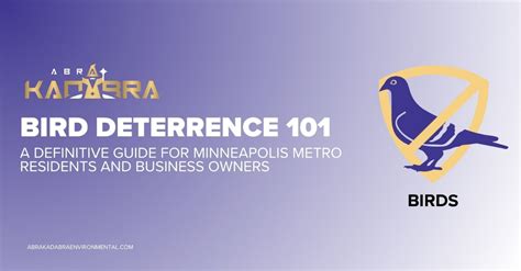 Bird Deterrence 101 A Definitive Guide For Minneapolis Metro Property Owners Abra Kadabra