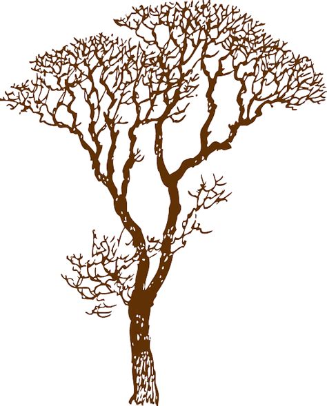 Download Tree Bare Ecology Royalty Free Vector Graphic Pixabay