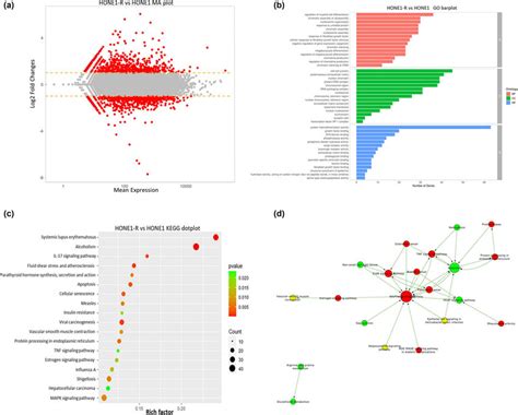 Data Analysis Of Transcriptome Sequencing A Ma Plot Of Hone1 And