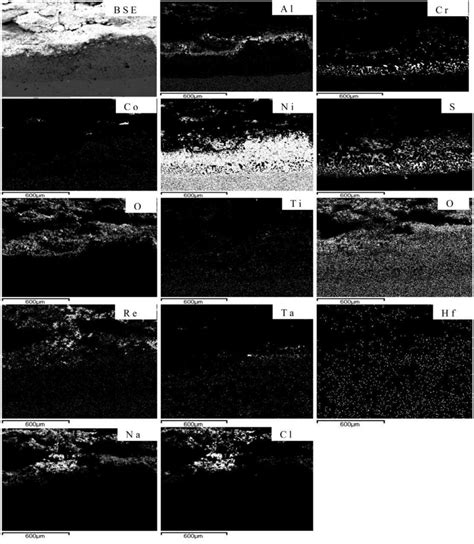 Elemental Distribution Of Cmsx 4 Superalloy After Hot Corrosion Under Download Scientific