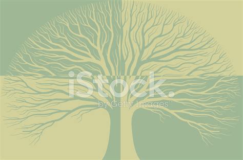 Two Color Tree Stock Photo Royalty Free FreeImages