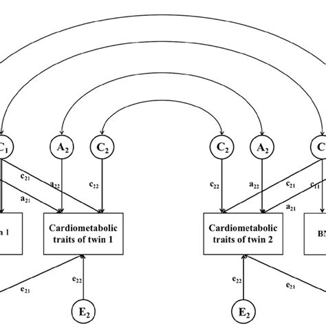 path diagram for the bivariate structural equation model a additive