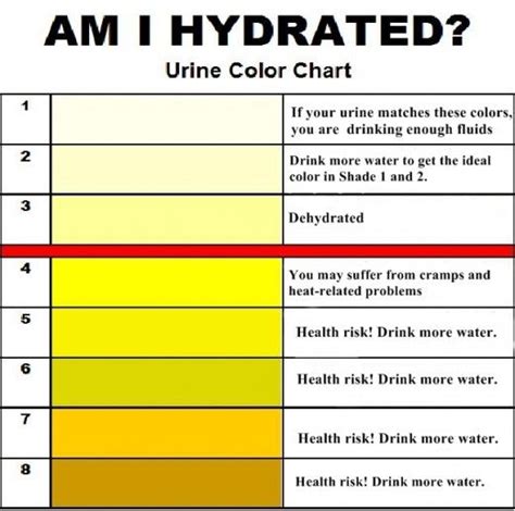 Urine Color Chart And Meaning Color Of Urine Urinal Color Chart