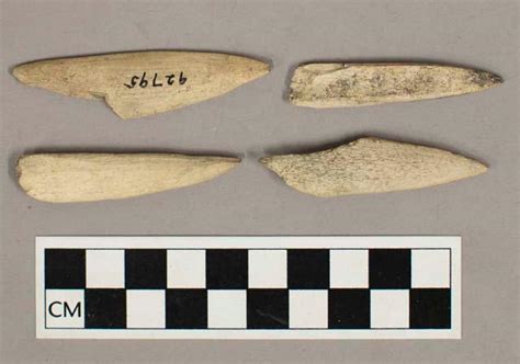 Bone Points Objects Emuseum