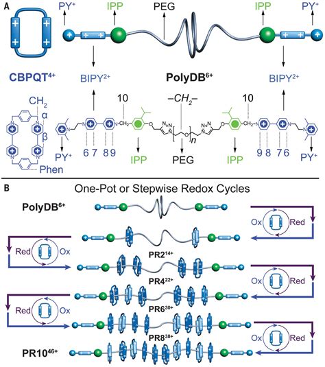 A Precise Polyrotaxane Synthesizer Pmc