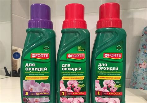 Варианты применения удобрения бона форте: для орхидеи и других ...