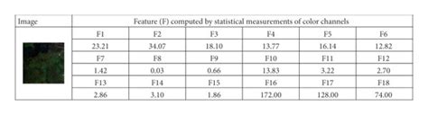 Illustration Of Features Computed By Statistical Measurements Of Color