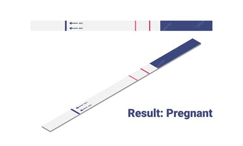 Resultado Positivo De La Prueba De Embarazo Ilustración Vectorial