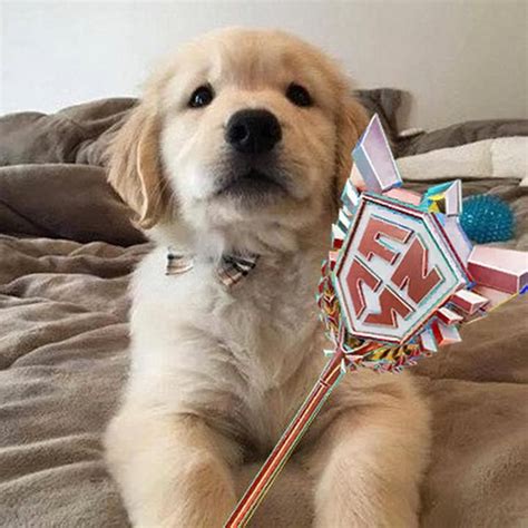 Fortnite Fncs Pickaxe Pfp