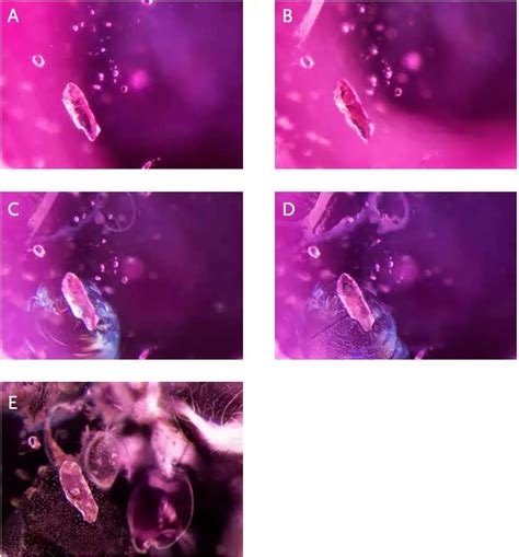 Low Temperature Heat Treatment Of Burmese Ruby — Igc
