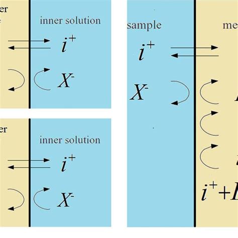Systems Considered In The Literature I Represents Positively Charged
