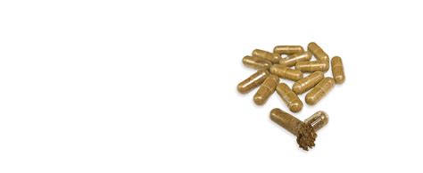 Bacopa Monnieri Capsules 60ct Qce 4500mg High Potency 201 Extract