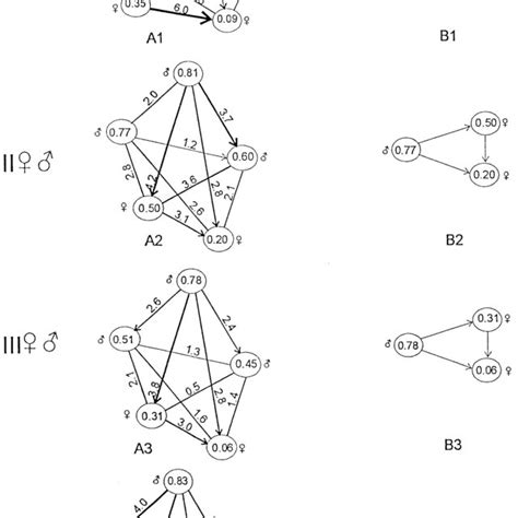A A Diagrams Of Relationships And Hierarchy In The Malefemale Groups Download Scientific