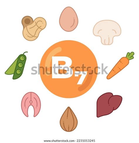 Foods Rich Vitamin B7 Poster Vitamin Stock Vector Royalty Free