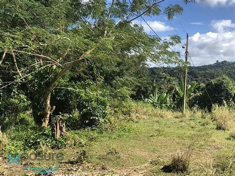 Km 241 Pr 146 Ciales Pr 00638 Zillow