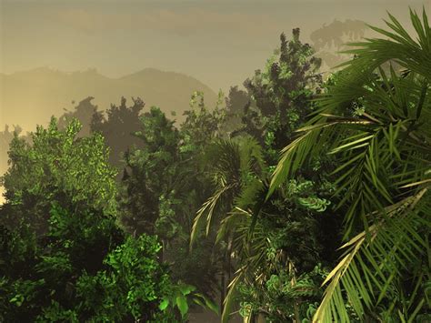 rainforest fog compositing and post processing blender artists