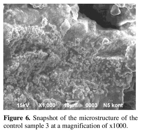 Snapshot Of The Microstructure Of The Control Sample 3 Download