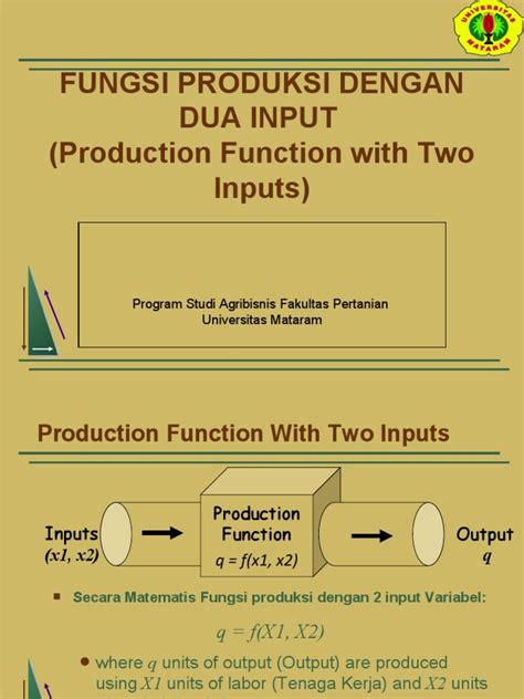Produksi Dengan 2 Input Variabel Pdf
