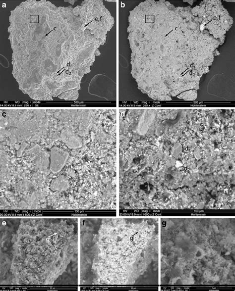 Sem Micrograph In Se Mode A E G And Bse Mode B C D F