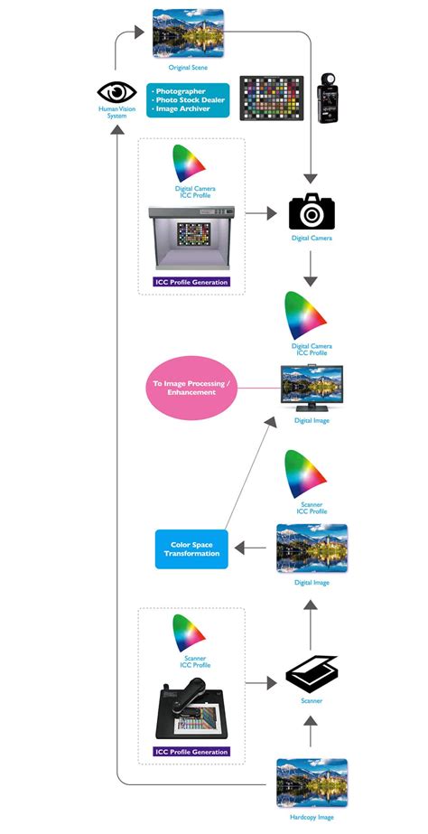 How Photographers Incorporate With Color Management Workflow Benq Uk