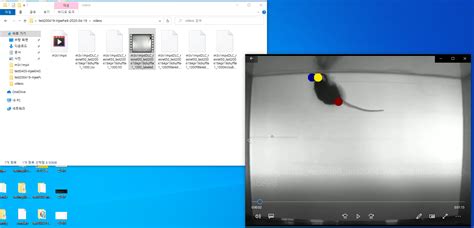 how to analyze one image with deeplabcut · issue 658 · deeplabcut