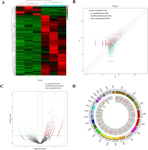 Expression Profiles Of Circrna A Hierarchical Clustering Of Circrnas