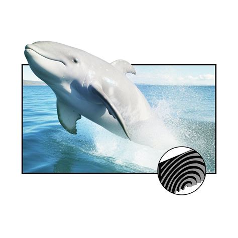 Fixed Frame Screen Vividstorm