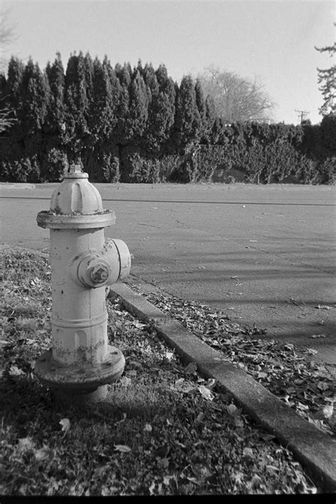 corner sharpness is pretty lacking scanning with a nikkor micro 55mm f