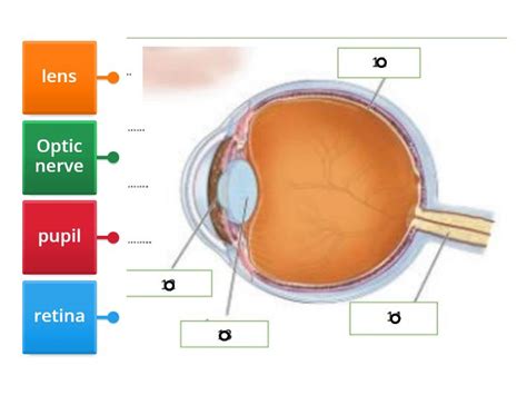 gr4 topic 3 lesson 3 part2 labelled diagram