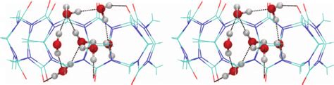 Two Representative Snapshots Of Water Conformations Within The Cavity
