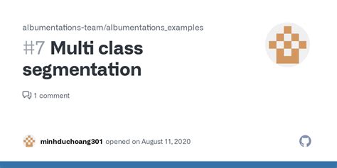 multi class segmentation · issue 7 · albumentations team