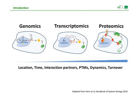 Proteomics Analysis Basics And Applications