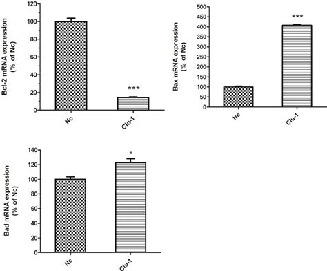 Altered Expression Levels Of Apoptosis Related Genes Bax Bcl 2 And