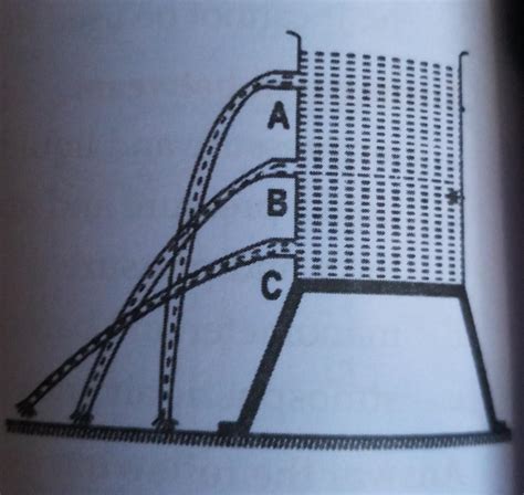 6 Diagrammatic Questions A Study The Diagram And Answer The Following Questions I What Does