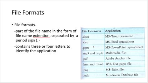 Chapter 3 File Management Organization Of Data PPT EXERCISES B Computer VI Std