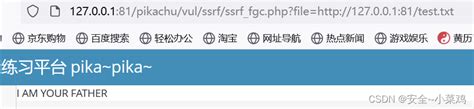 通过实验了解ssrfsstf Curl Csdn博客